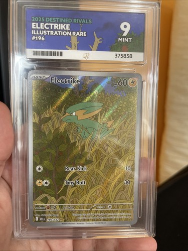 Pokémon TCG Graded Destined Rivals Electrike IR 196/182 | eBay UK