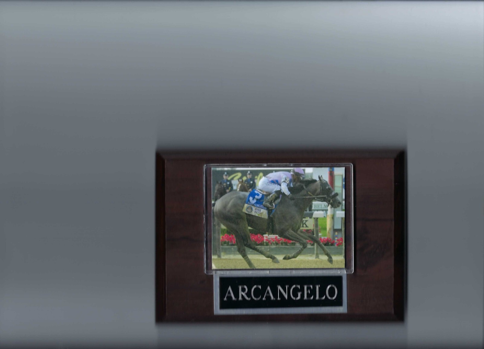 ARCANGELO PLAQUE HORSE RACING | eBay