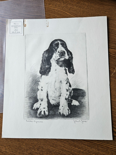Cocker Spaniel Copper Plate Hand Pained Etching Sighed by artist John C ...