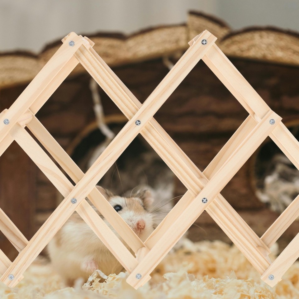 Wooden Hamster Climbing Ladder Rat Climbing Toy Natural Wood Hanging ...