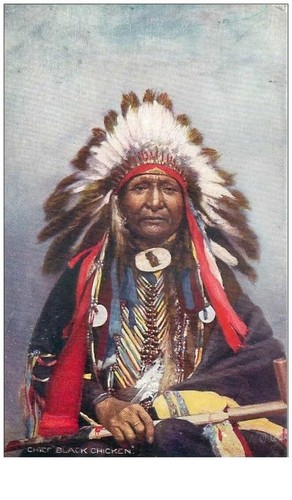 indien .n° 34385.chief black chicken .illustrateur. | eBay