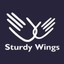 Sturdy Wings T-shirt Role Models Movie 5 Colors S-3XL | eBay