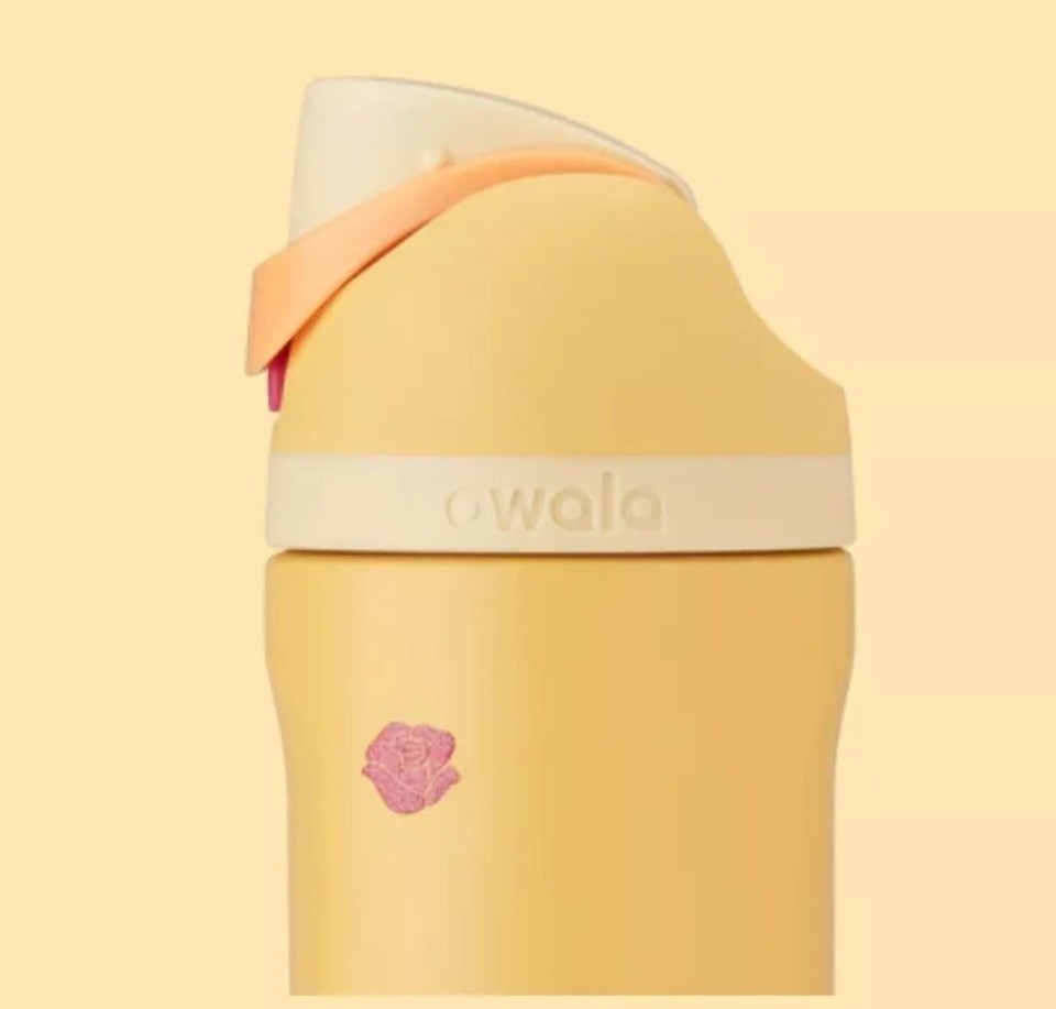 Owala Belle Beauty and the Beast Disney Princess 24 oz FreeSip Water ...