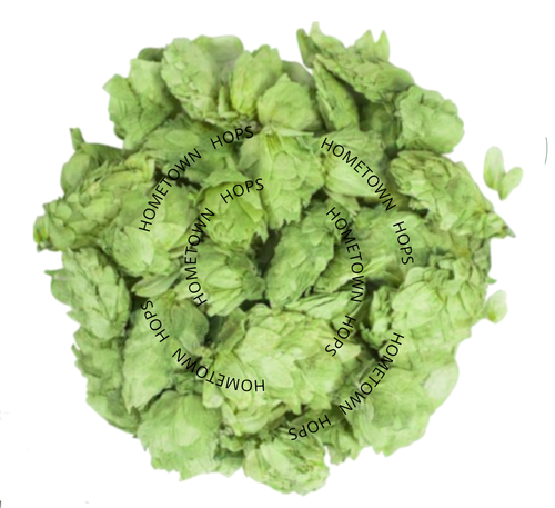 Brewer's Gold 1 oz. Whole Dried Hops Cones Humulus Lupulus Brewing/Tea ...