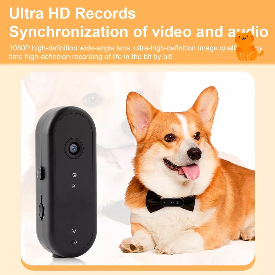 Portable Pet Dog Cat Mini Collar Camera Sports Camera Recorder Cam ...