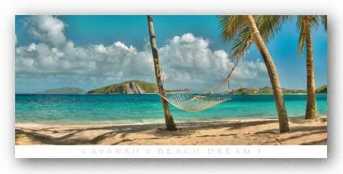 Beach Dream I Doug Cavanah Art Print 20x48 | eBay
