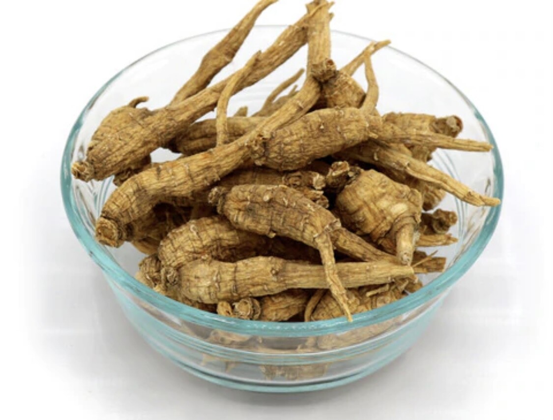 2024 ginseng- 100% Pure Wisconsin American Ginseng Dry Root (1.08 pound ...
