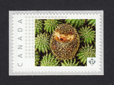 HEDGEHOG on CACTUS = Picture Postage Stamp Canada 2015 MNH [p15-01-sn20 ...
