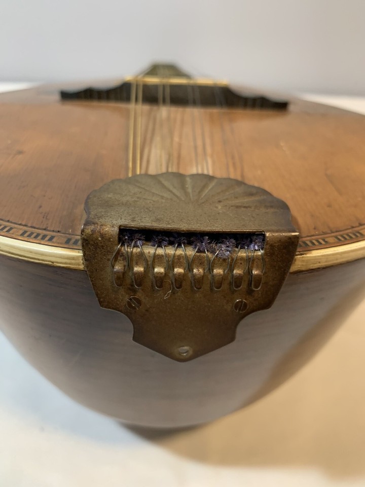 Vintage Eight Strings Brown Black Right Handed Musical Instrument ...