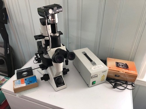 Olympus CKX41 Inverted Phase Contrast Fluorescence Microscope | eBay