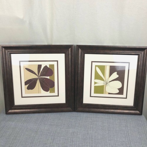Set of 2 Debbie Halliday Framed Brown Green Flower Burst Prints 15 x 15 ...