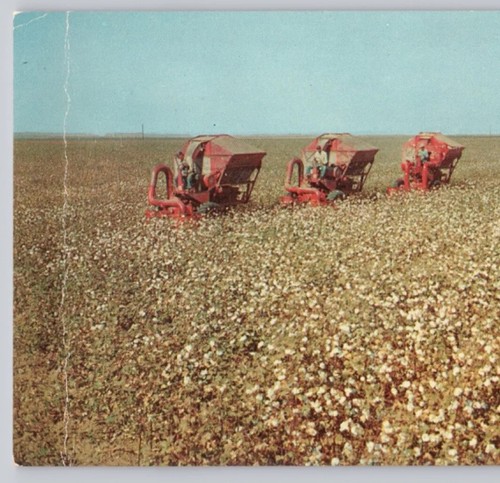 Mechanical Cotton Pickers by Emil Cuhel 1955 Vintage Postcard Unposted ...