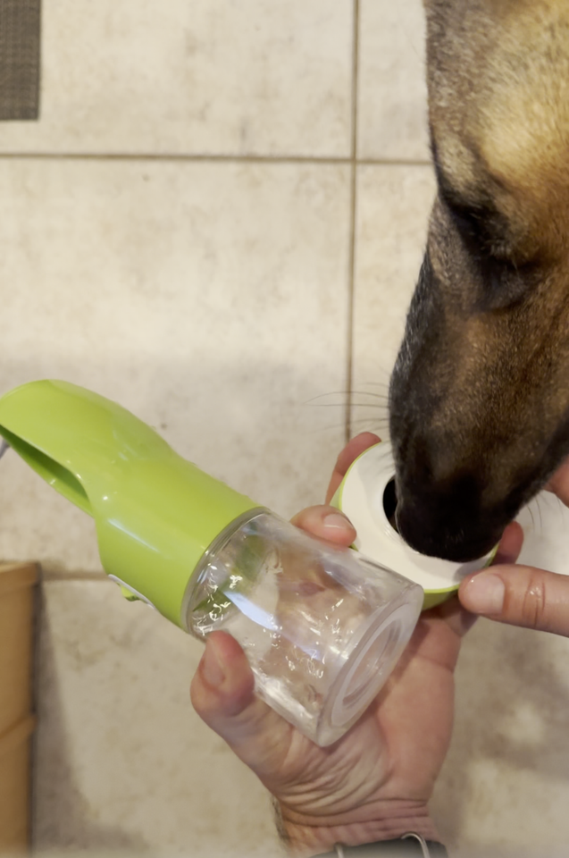 Dog Water Bottle Dispenser Outdoor Food Kibble Snacks Pet Water Feeder ...