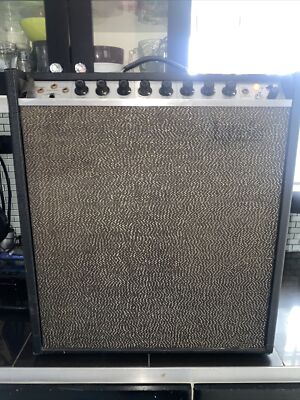 Audio Guild 12 speaker guitar amplifier tube amp Magnatone style VGC ...