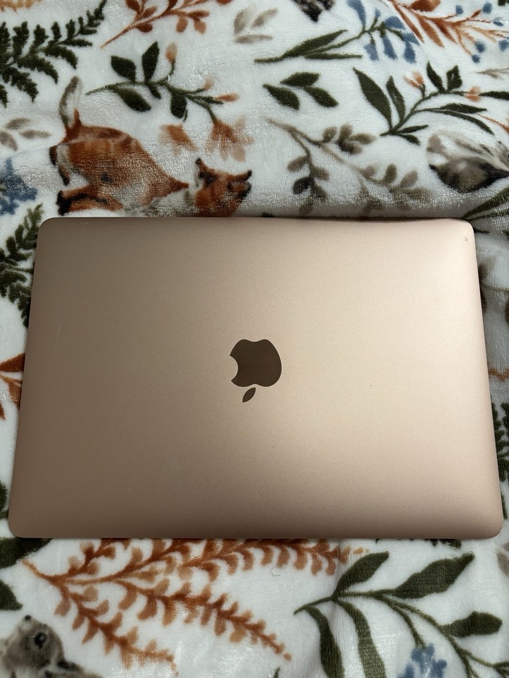 2017 Apple MacBook Retina 12" 8 GB RAM 512 GB SSD Intel Core m3 Rose ...