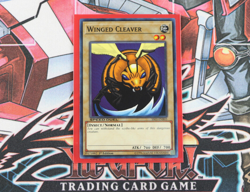Yugioh Winged Cleaver SS03-ENB05 1st Edition Common | eBay