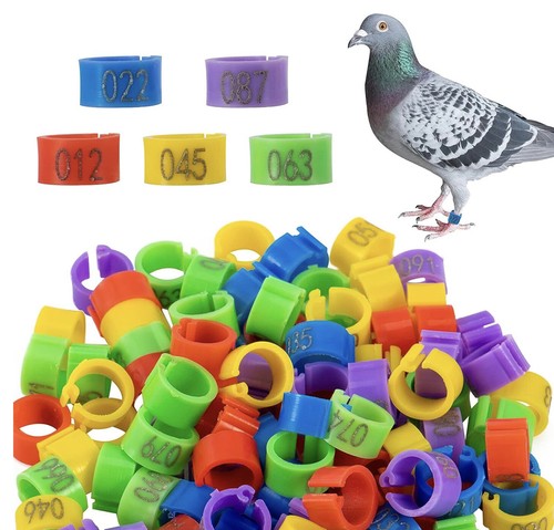 100Pcs Clip On 8mm Leg Rings Band Foot For Bird Bantam Chicks Quail ...