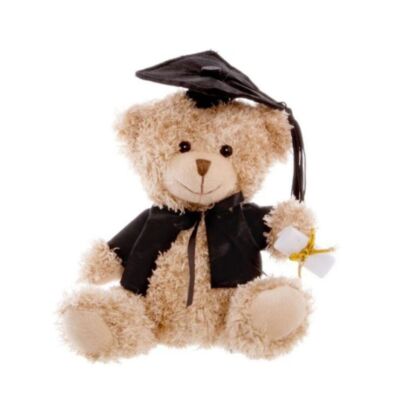 Graduation Teddy Bear With Hat 10"/26cm Graduation Soft Toy | eBay
