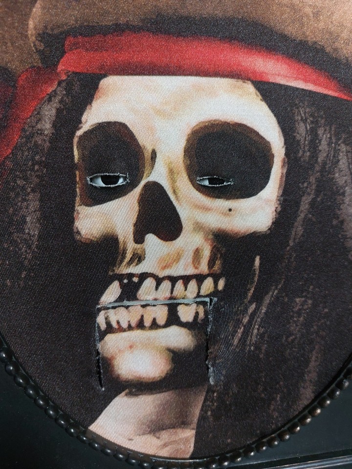 Gemmy Skeleton Pirate Animated Talking Portrait Halloween Decoration | eBay