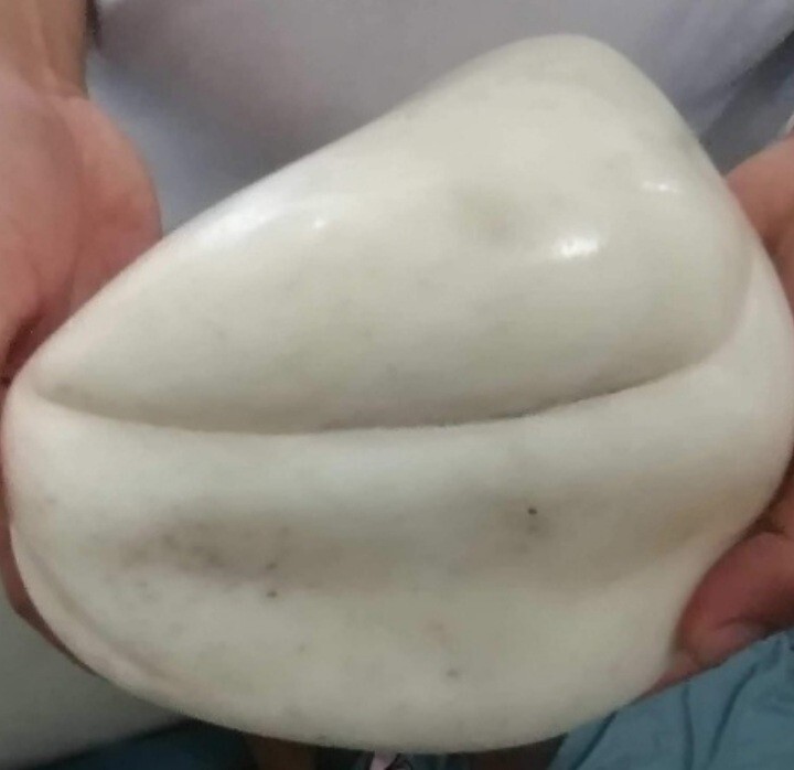 Natural Giant Fossil Tridacna Gigas Clam Pearl 6 Kilograms Gemologist ...