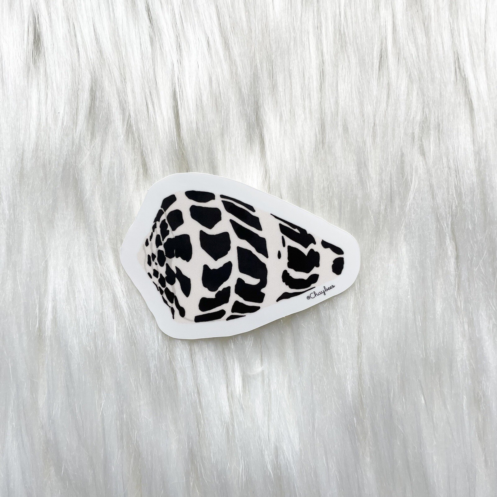 Chaybees Hawaiian Hebrew Cone Shell Glossy Vinyl Sticker ( 2.5 x 1.75 ...