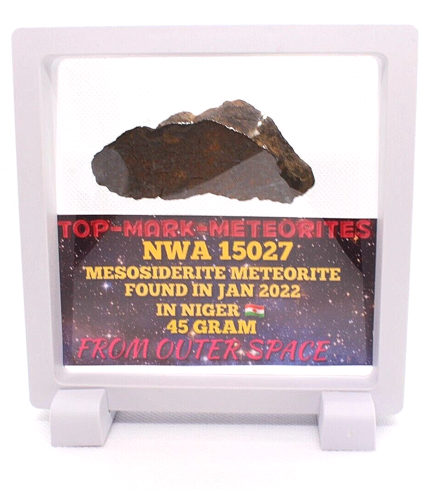 Meteorite NWA 15027 Mesosiderite breccia meteorite ~ 45 grams from ...
