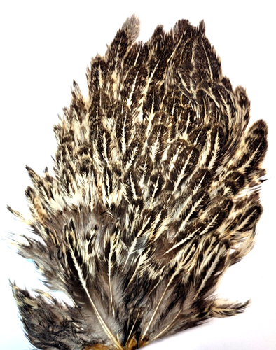 INDIAN HEN BACK - Soft Hackle Saddle Feathers - FLY TYING MATERIALS ...