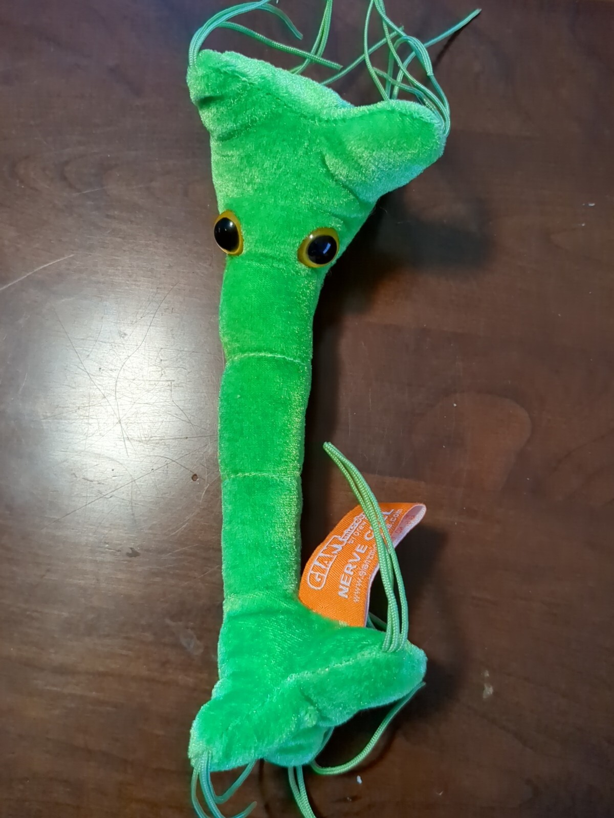 Giant Microbes Nerve Cell Neuron Plush | eBay