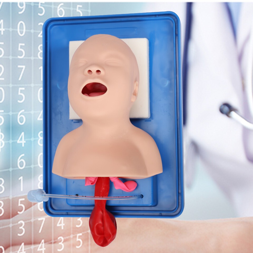 Airway Management Trainer Intubation Manikin Baby Infant Teaching Lab ...