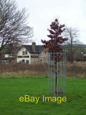 Photo 6x4 Jubilee Tree Croucheston Beech tree planted in the Recreation F c2007 | eBay UK