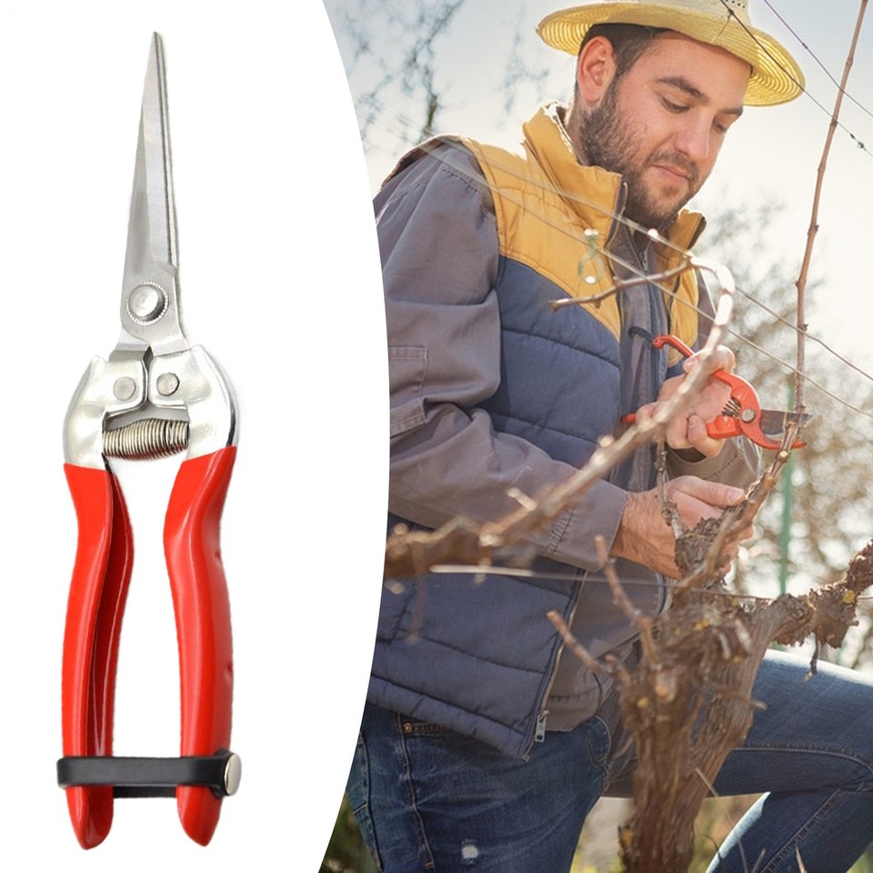 Pruning Shears Stainless Steel Garden Clippers Bonsai Tools Plant ...
