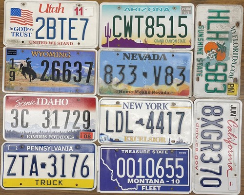 BULK LOT of 10, US mixed states License Plates NICE QUALITY. FAST ...