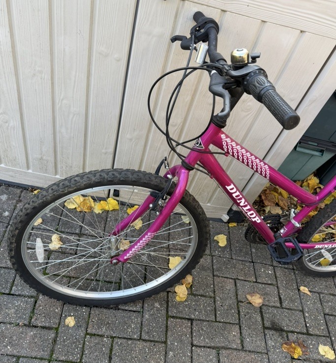 Ladies Mountain Bike - Dunlop Bloom, collection St Albans Hertfordshire ...