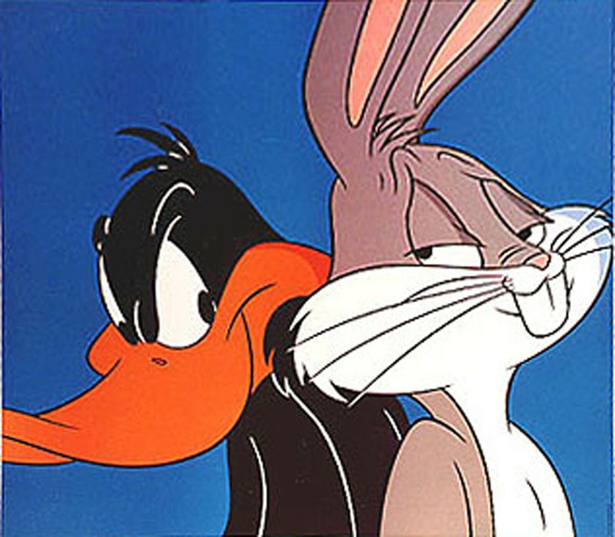 Bugs Bunny Og Daffy Duck Cartoon Characters Bugs Bunny And Daffy Duck