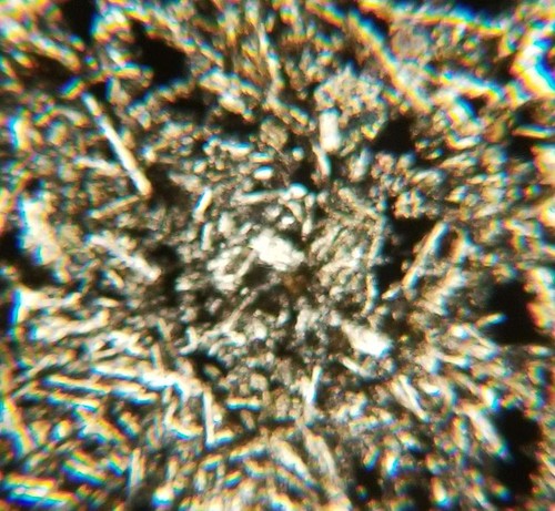 Thin-section Mount from IRDP Borehole Petrographic Microscope Slide ...