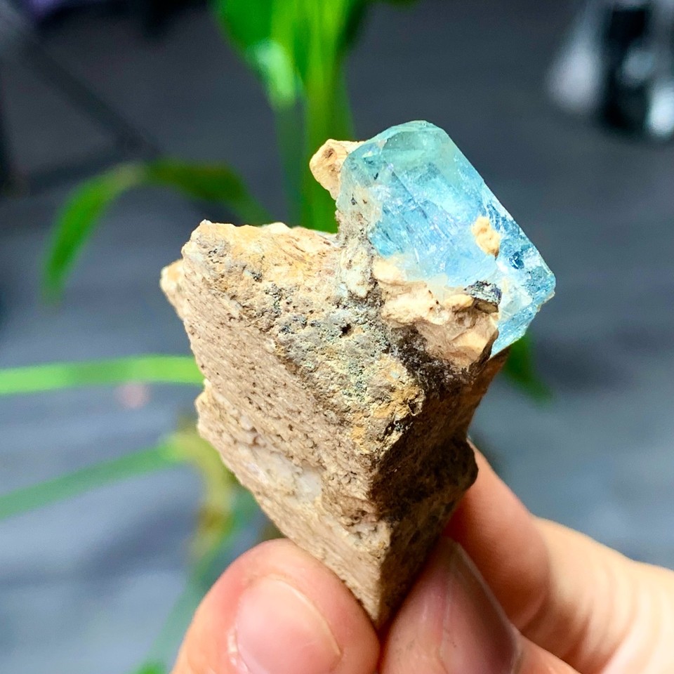 29G Rare!Natural beautiful Prism shaped Aquamarine Raw Crystal Specimen ...