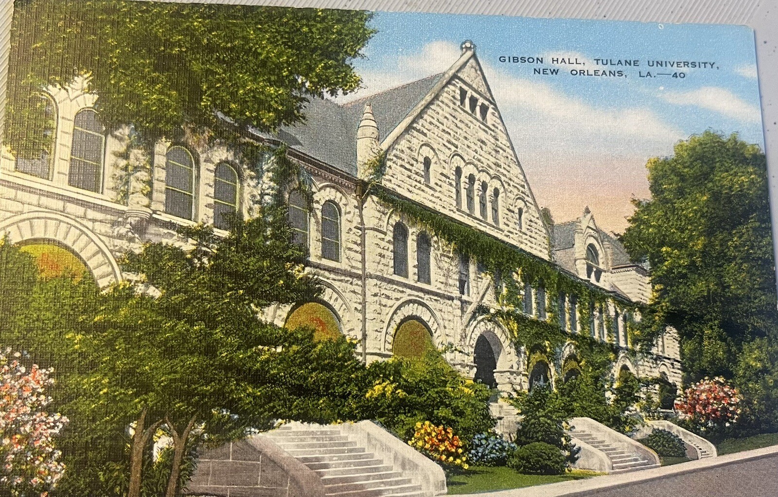 RARE VINTAGE POSTCARD GIBSON HALL TULANE UNIVERSITY NEW ORLEANS | eBay
