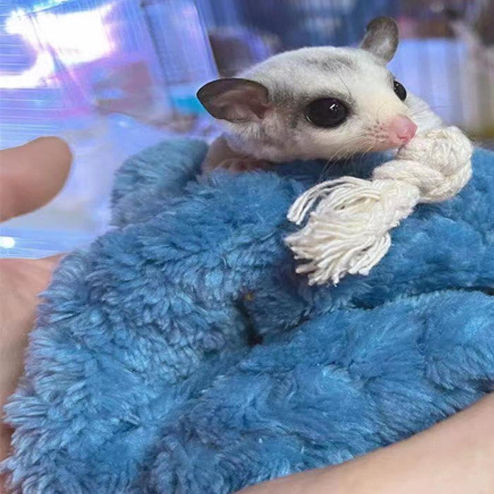 Small Pet Sleeping Bag Soft Breathable Comfortable Mini Sugar Gliders small-pet-sleeping-bag-soft-breathable-comfortable-mini-sugar-gliders