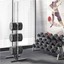 2'' Olympic Plate &Bar Holder Weight Bumper Plate Tree Stand Rack Home ...