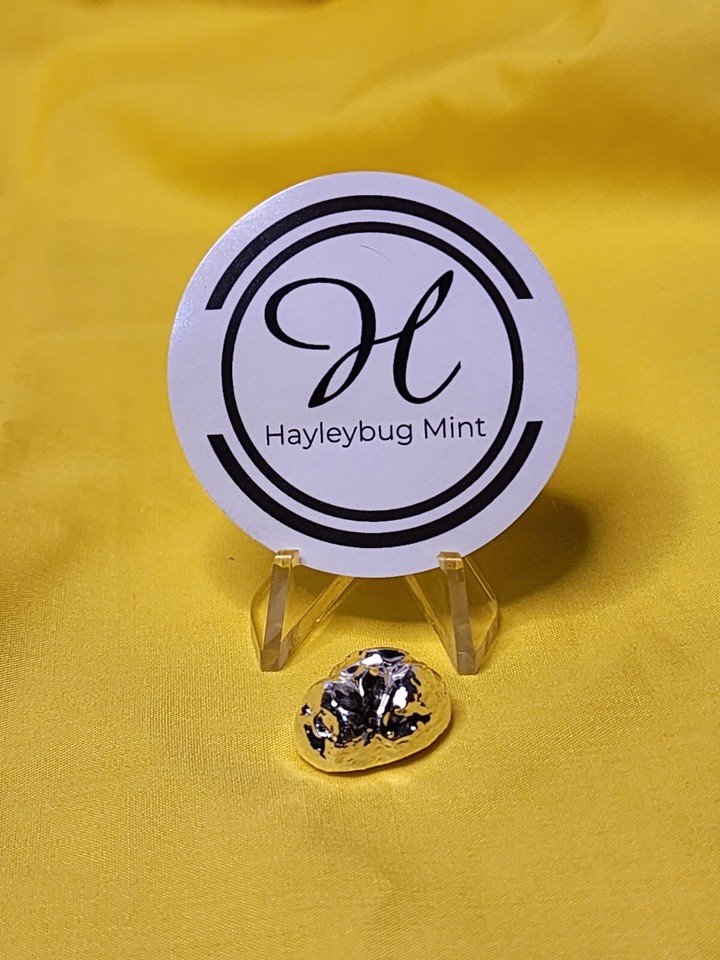 RETIRED 1/2 oz Silver SILVERBUG .999 Hand Poured HayleyBug Mint Bug | eBay