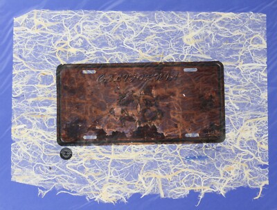 Chanel California Plaque Immatriculation Imprimé Par Fairchild Paris Le ...