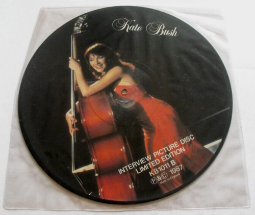 KATE BUSH - Interview Picture Disc - Vinyl LP Record Album | eBay