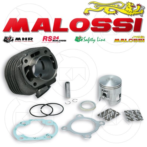 Malossi 317002 Set Cylindre Ø 47 IN Fonte Fiche Ø 10 Dinli Helix DL603 ...