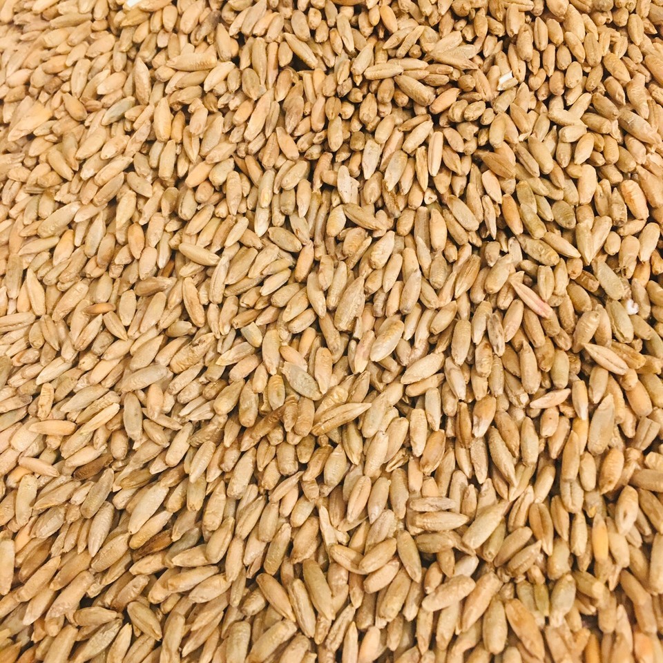 Rye Seed Whole Grain Kernels | eBay