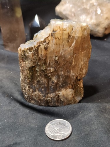 Pink Limb Cast Opalized w/ Moss Inclusions Polished on one End Specimen ...