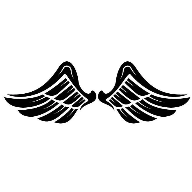 Angel Wings Symbols
