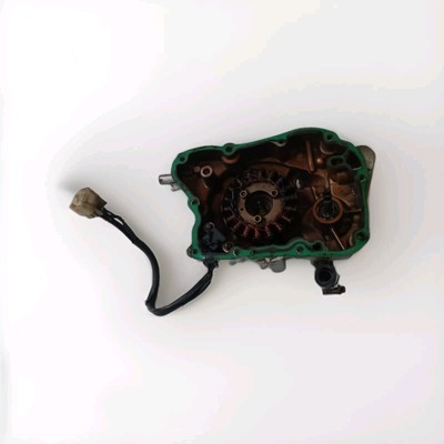 QJ101028 CARTER E STATORE COMPLETO COPERCHIO HONDA SH 125 150 | eBay.de