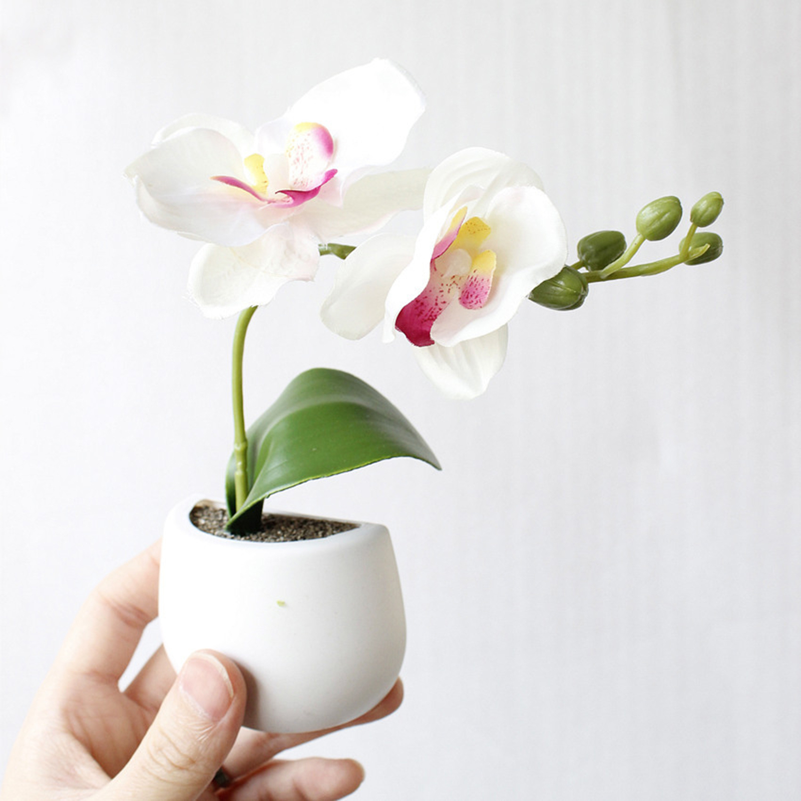 Fridge Magnets Cute Wide Application No Scratch Whiteboard Magnets Anti ...