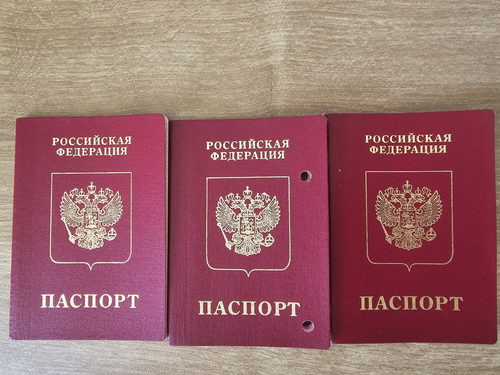 Set of 3 Authentic Red Travel Documents • Judaica from Russian Aliyah ...
