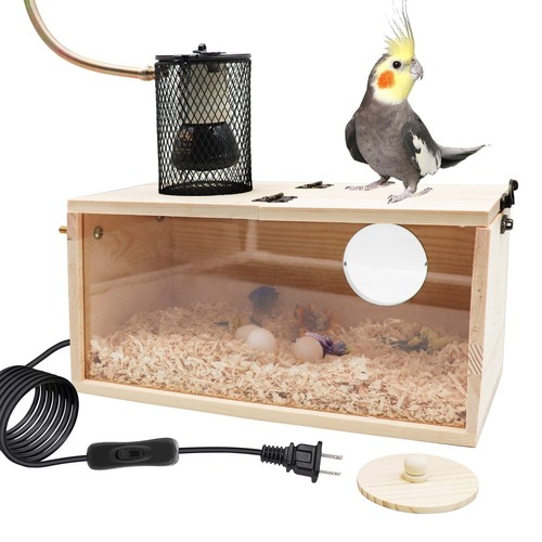 Bird House Incubator, Bird Nesting Box with Heat Lamp, 75W Ceramic Heat ...